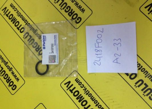 2418F002 Conta / Seal